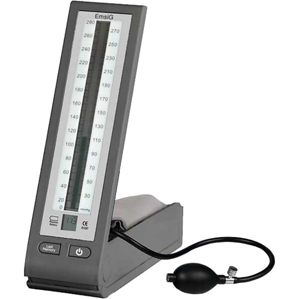 EmsiG SF24 - Medaval