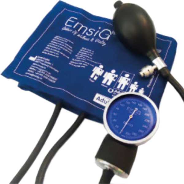 EmsiG SP93 - Medaval