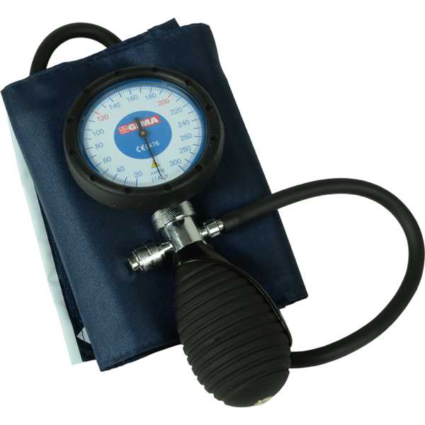 Gima Roma (32727) - Medaval